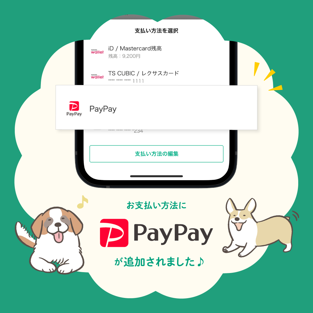 my route（マイルート）でPayPay決済が利用可能になりました！！ | my route 富山｜魅力の富山をラクラク移動、富山がもっと楽しくなるアプリ